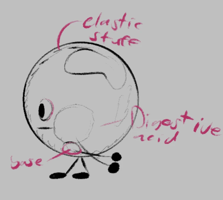 bfdi anatomy | Fandom