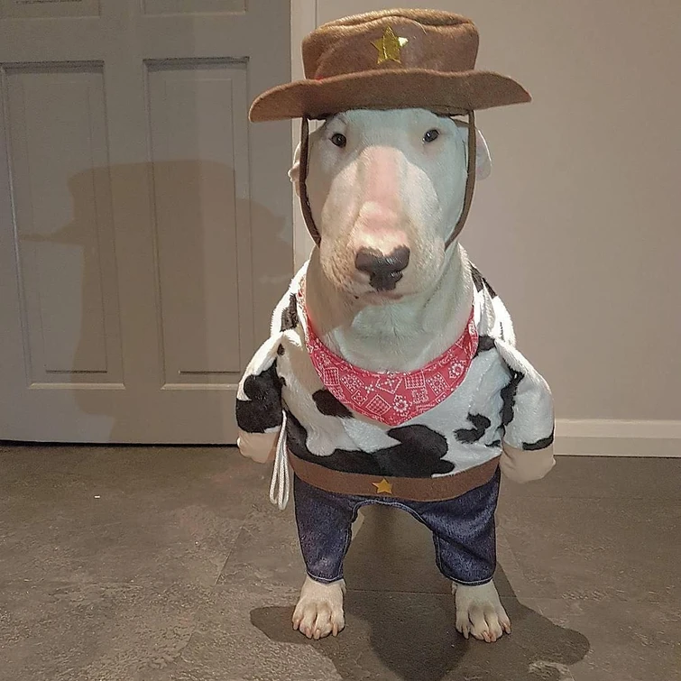 My drippy costume 😎 | Fandom