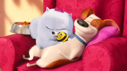 Does This Song Fit The Picture Of Gidget Sleeping With Max? | Fandom