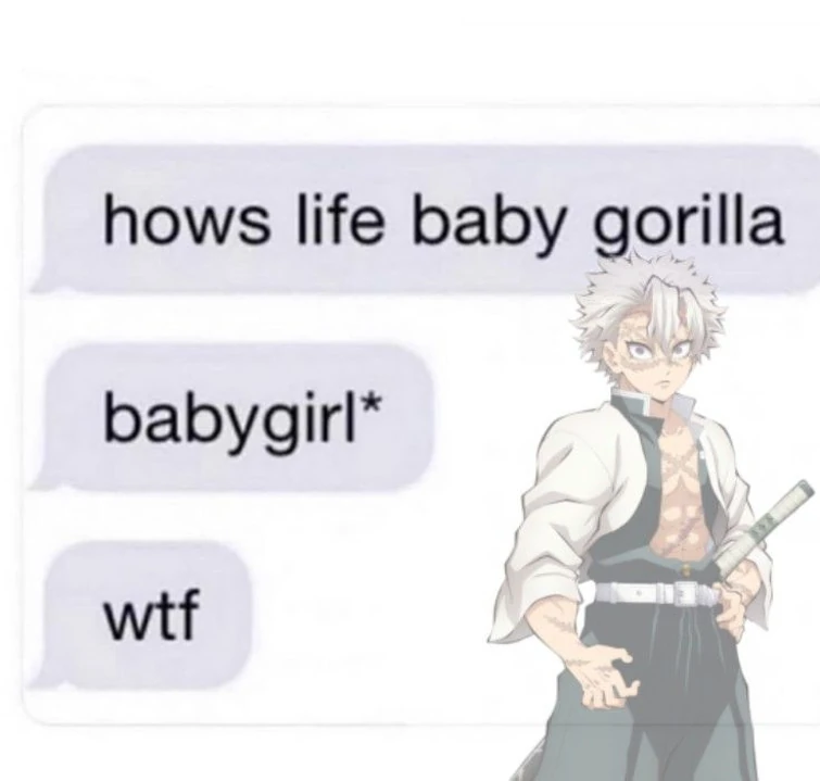 Memes and art of Sanemi and Genya because it is once again Genya’s ...