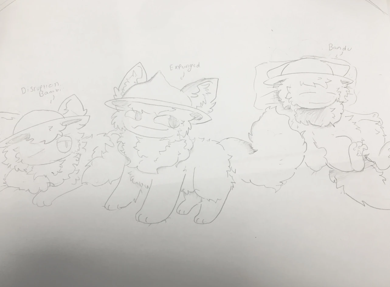 Hehe cats | Fandom