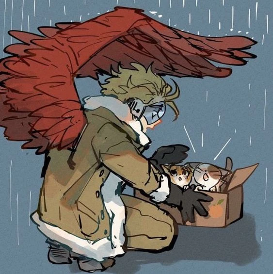 Hawks Is Now A Mommy | Fandom