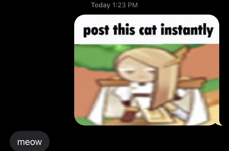 Post this cat instantly | Fandom