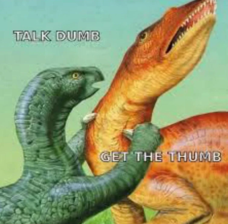 DP Tournament! | Fandom