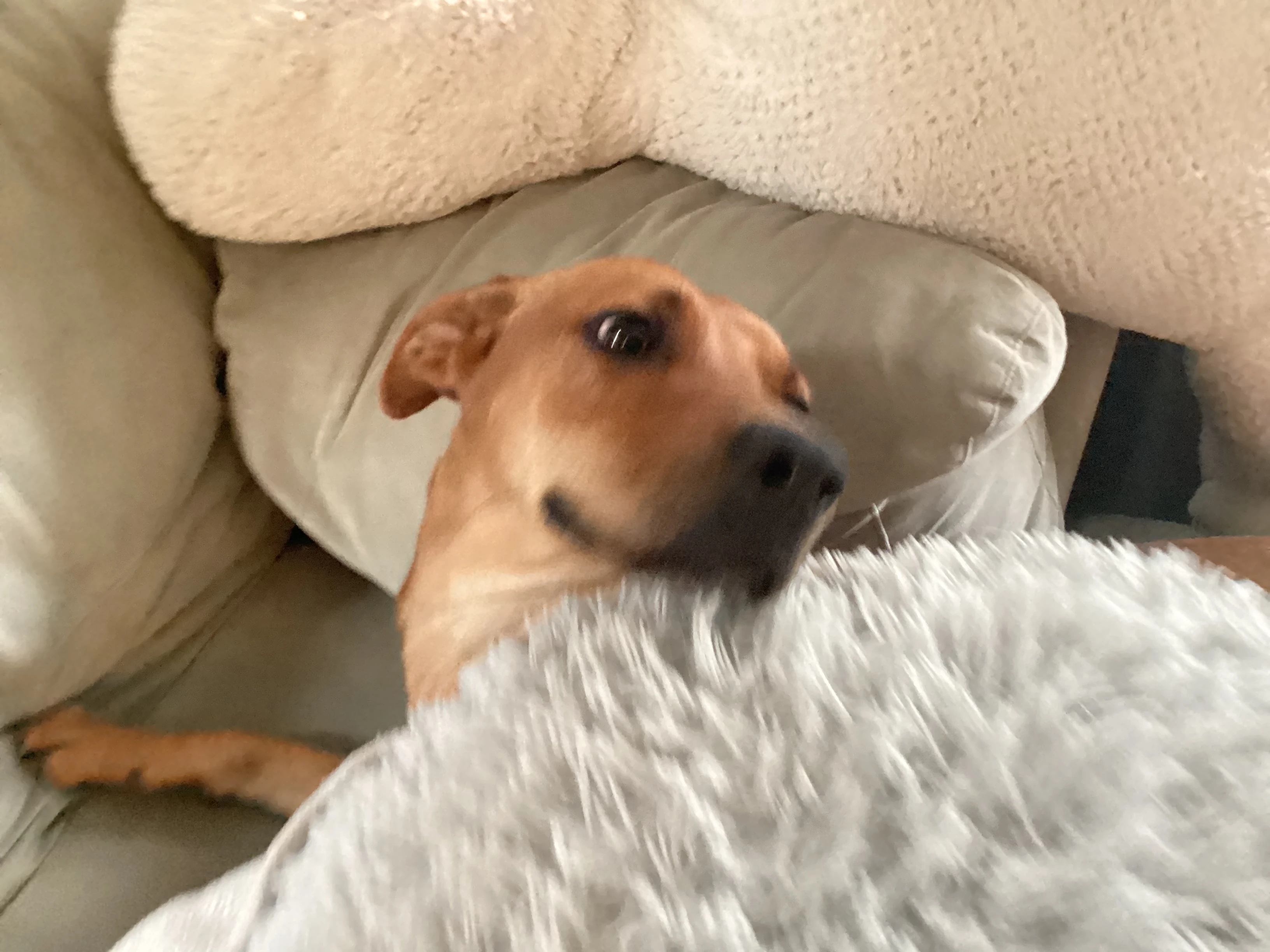 I’m back! | Fandom