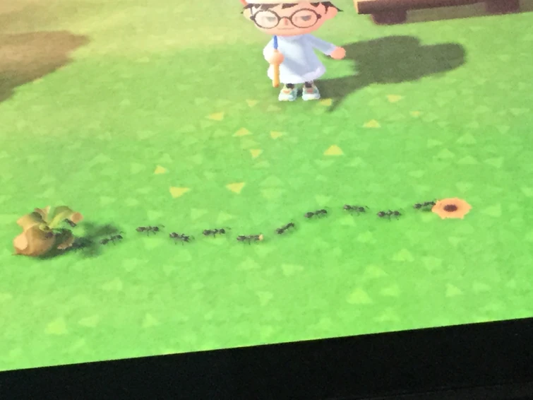 Discuss Everything About Animal Crossing Wiki | Fandom