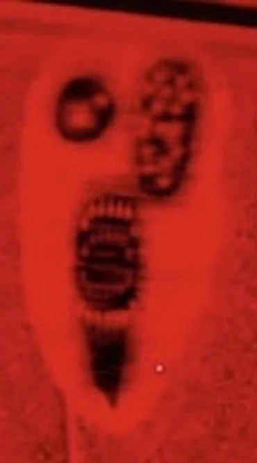 Discuss Everything About DOORS Wiki | Fandom