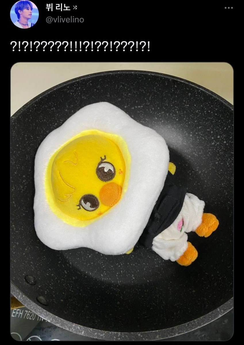 not-so-daily skzoo (day 31) | Fandom