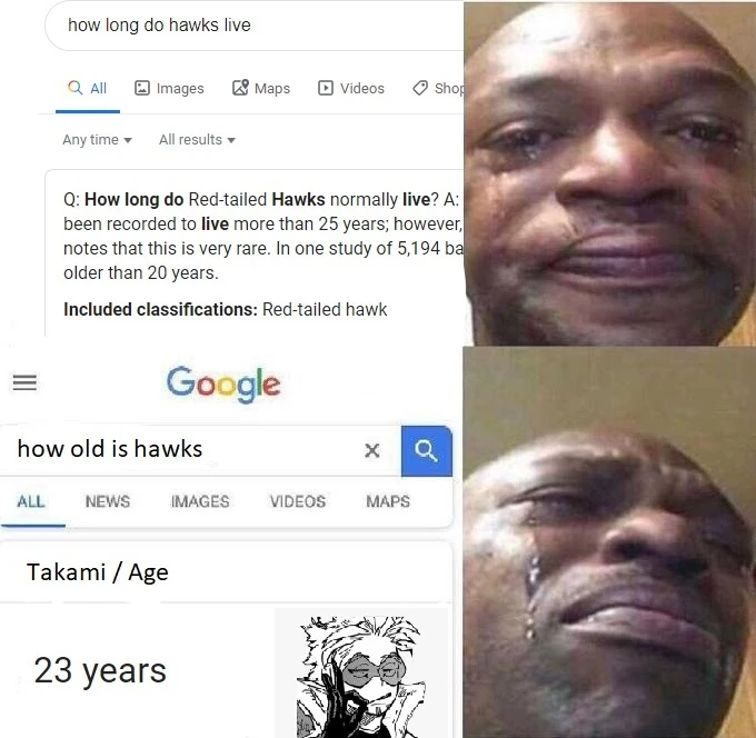 Poorly made Hawks meme I made | Fandom