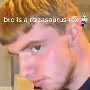 which are you | Fandom