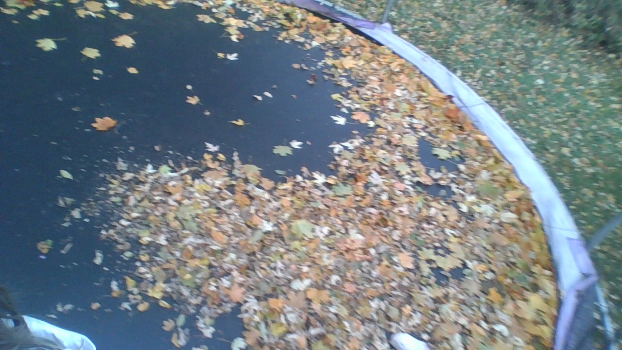 ahh fall(ignor my coat | Fandom