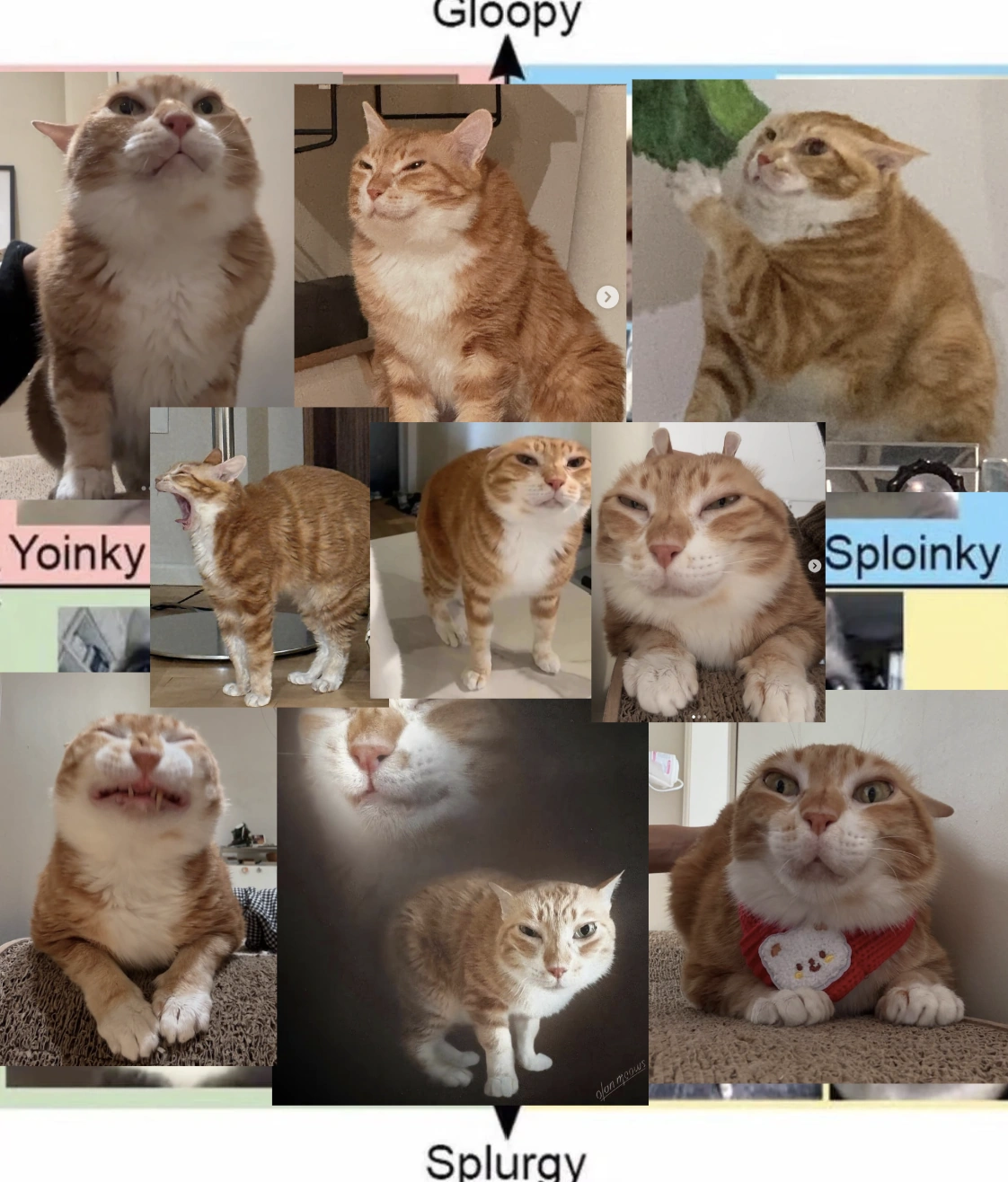 creature of many shapes | Fandom