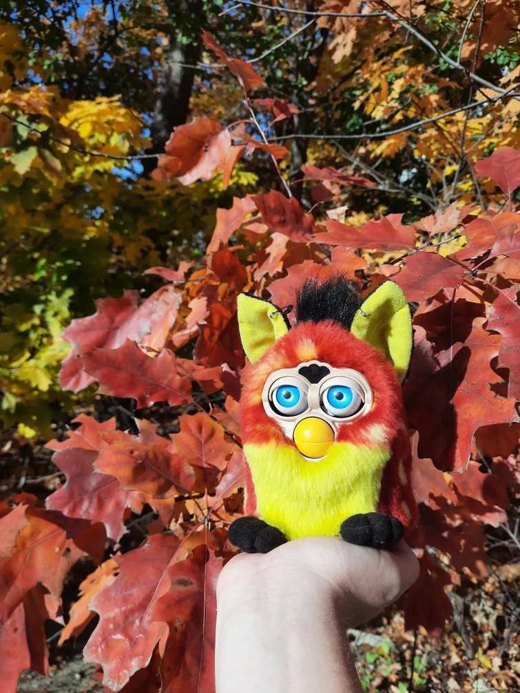 Discuss Everything About Official Furby Wiki | Fandom