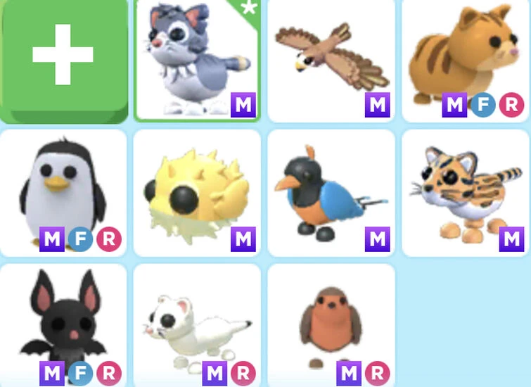 ride pot shoppp | Fandom