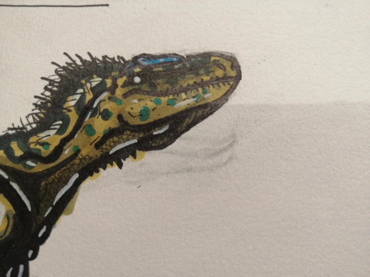How accurate is my alectrosaurus drawing from 1-10 | Fandom