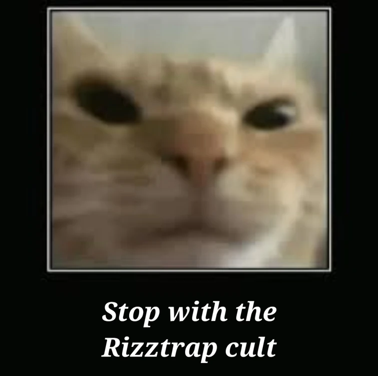Stop It You Cat Meme