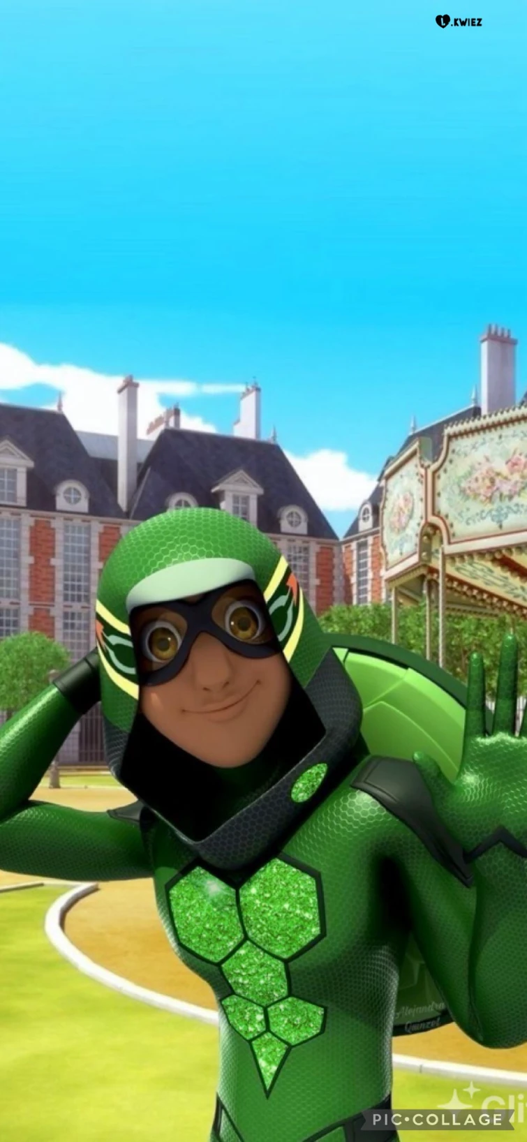 Carapace 🐢 | Fandom