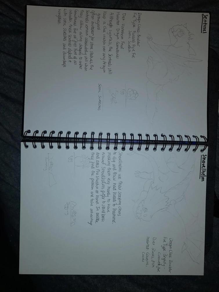 Book of Dragons Section 1: Boulder Class | Fandom