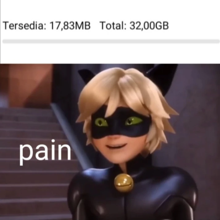 I made meme of my phone memory: | Fandom