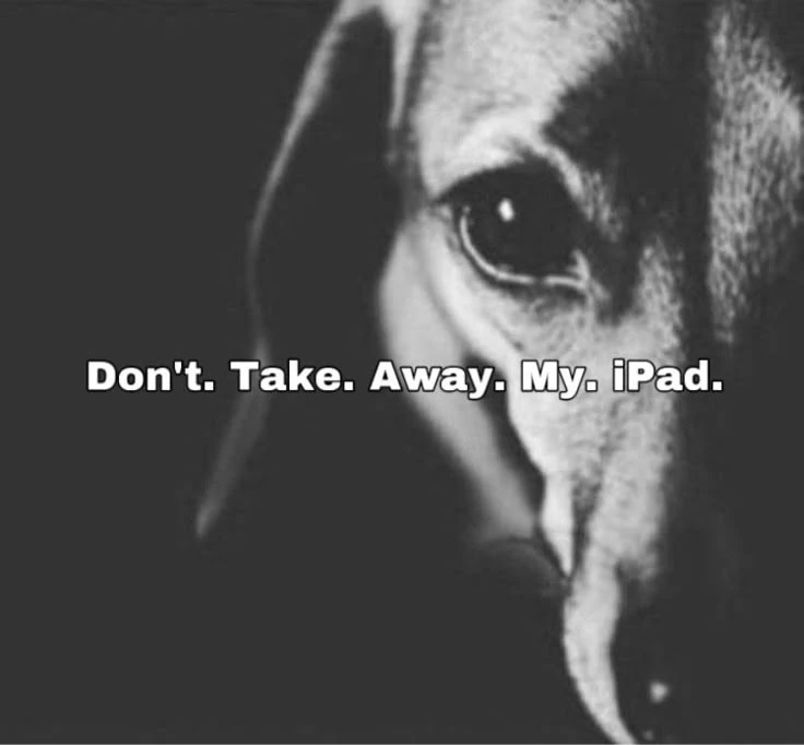 Don't. Take. Away. My. iPad. | Fandom
