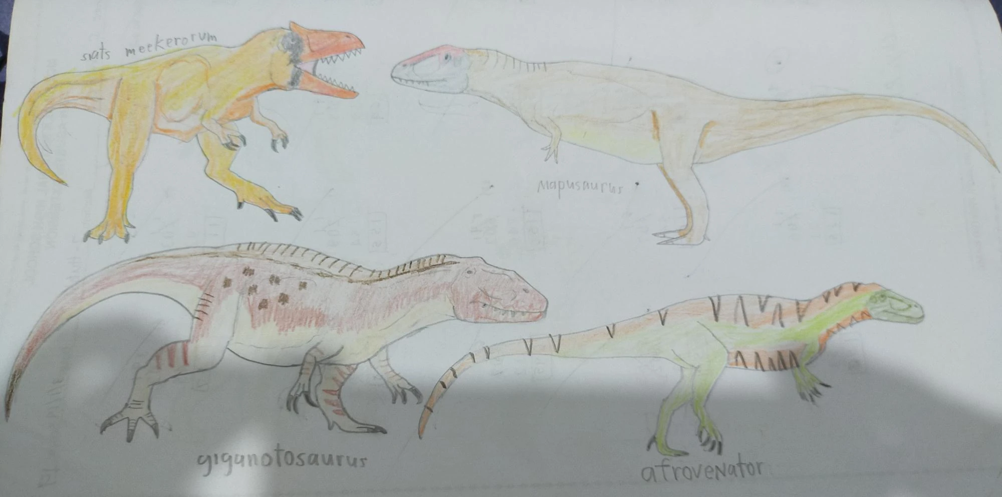 Three large Theropods Siats Giganotosaurus mapusaurus and medium Afrovenator. | Fandom