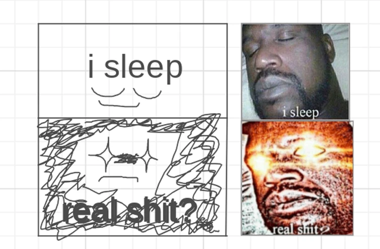 i sleep, real shit? | Fandom