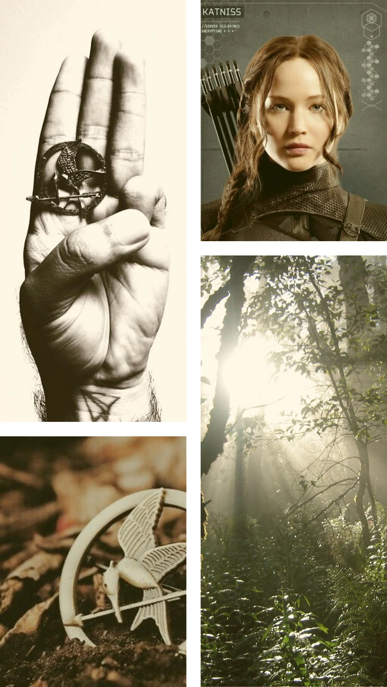 Katniss Aesthetic | Fandom