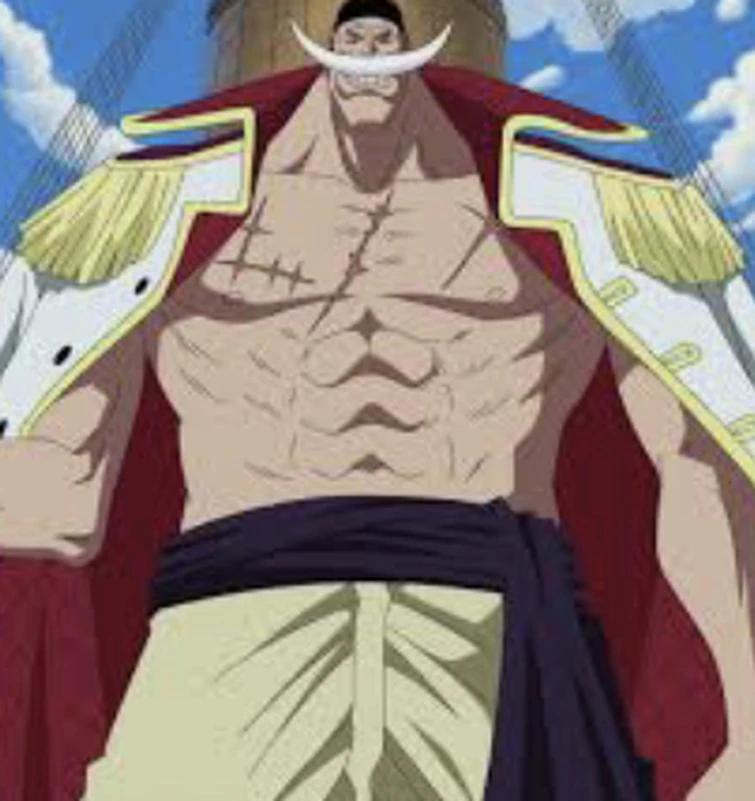 𝐓𝐇𝐄 𝐎𝐍𝐄 𝐏𝐈𝐄𝐂𝐄!! | Fandom