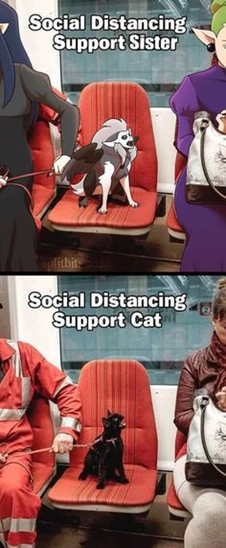 *appolagizez cutely* | Fandom