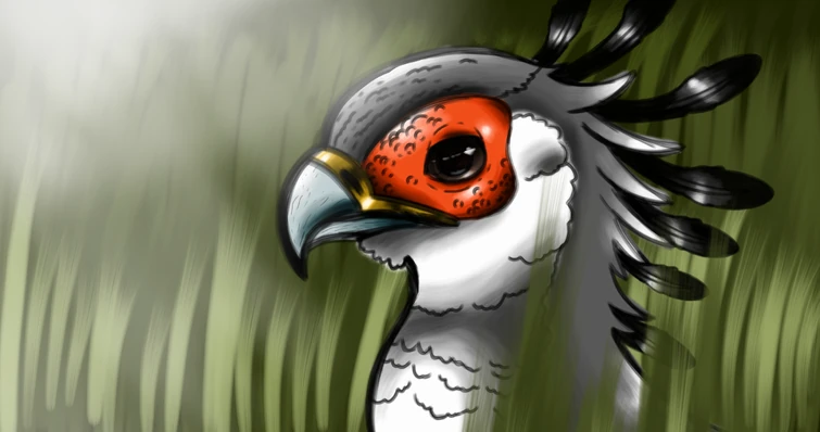 Discuss Everything About Feather Family Wiki | Fandom