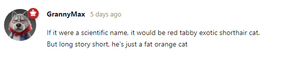 I asked on Party Animals forum about which cat is Garfat and one of the ...