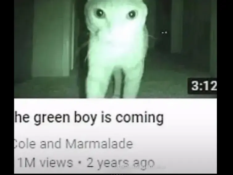 Putting wof characters in skrunkly cat photos | Fandom