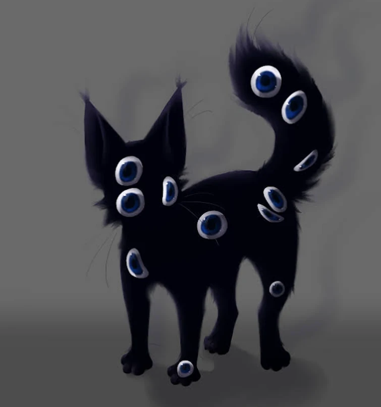 People like Shadow Hoshi as an actual cat | Fandom