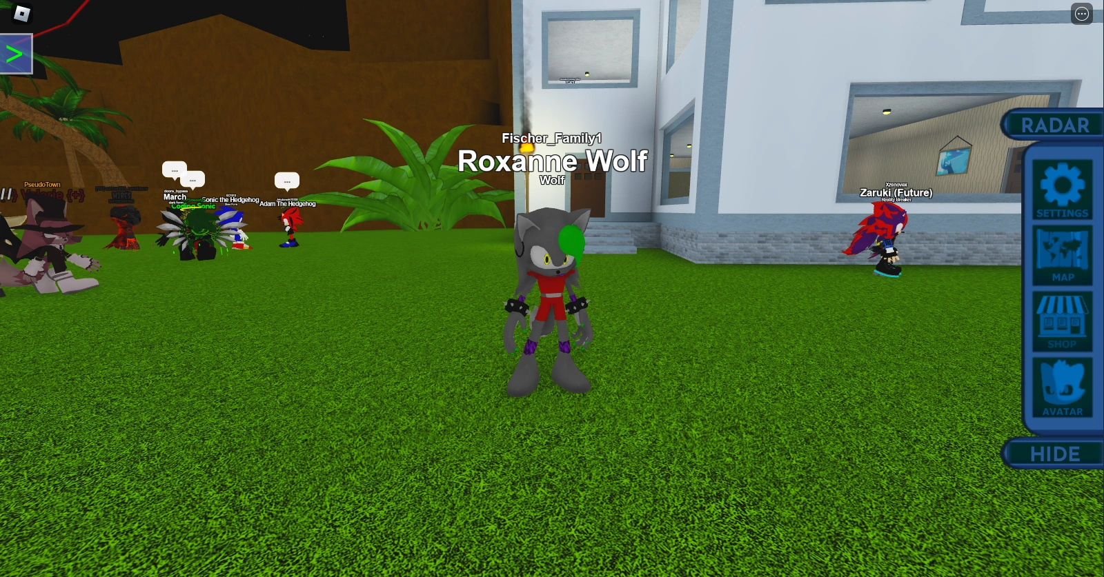 I created Roxy in a Sonic game. | Fandom