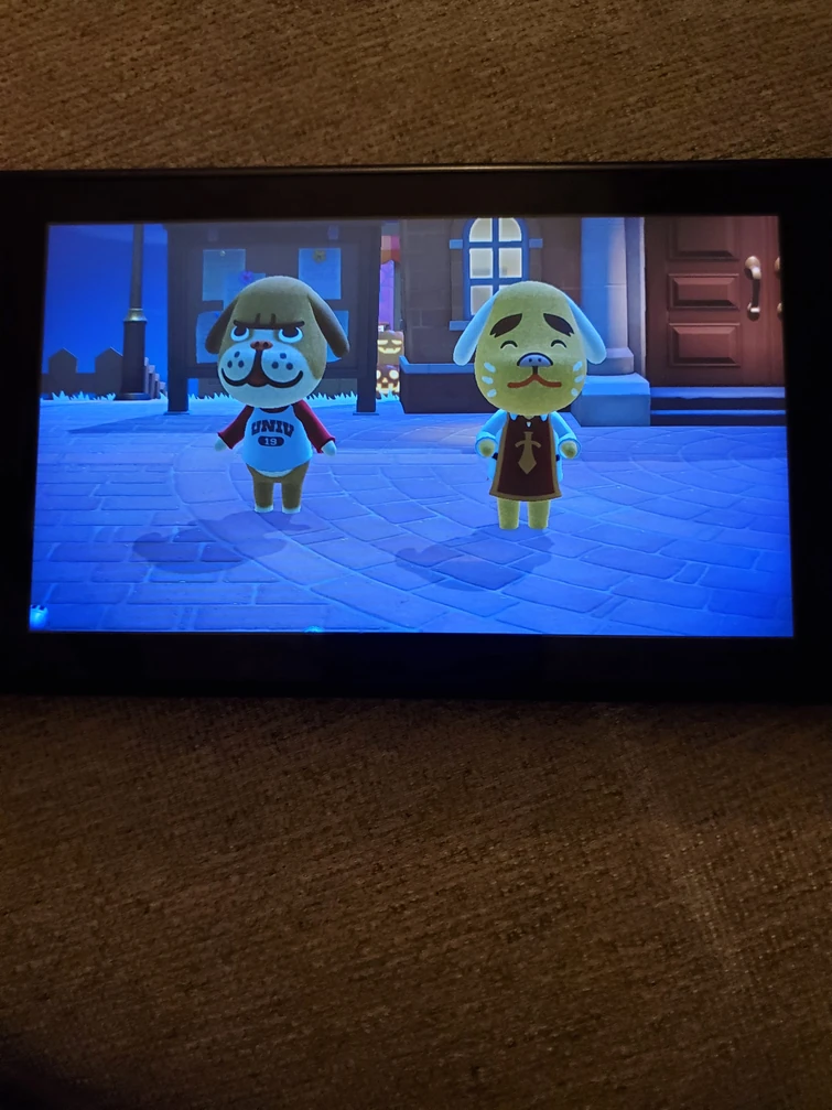Discuss Everything About Animal Crossing Wiki | Fandom
