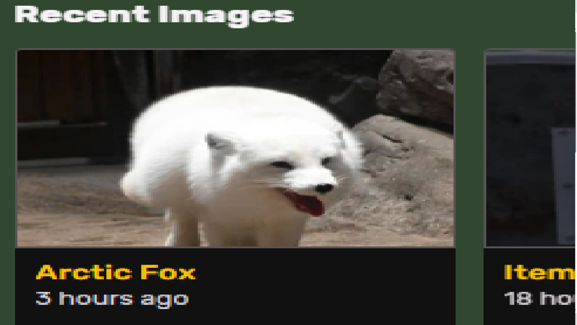 dont remove this image pls | Fandom