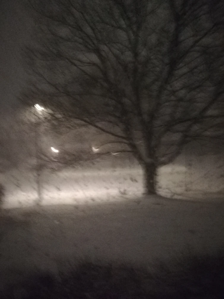 Big run fog wave irl (it's 30cm of snow) | Fandom