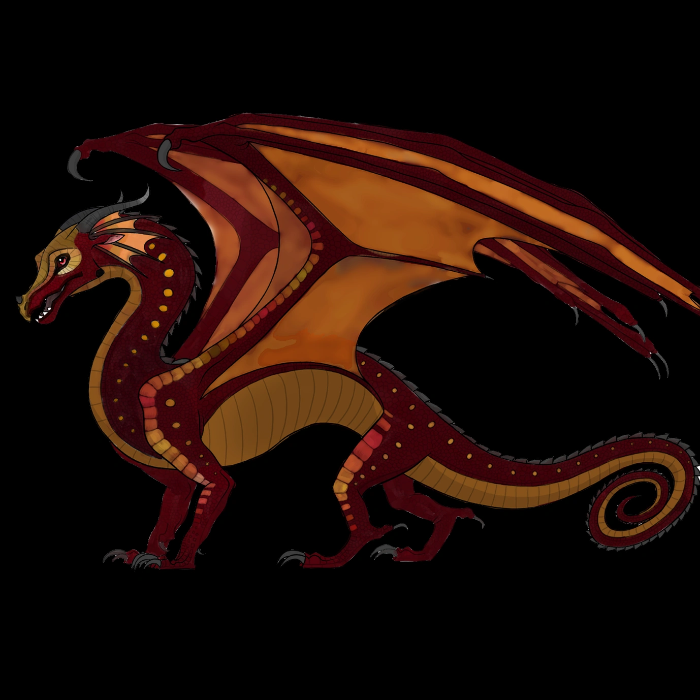 Rainwing Base fill | Fandom