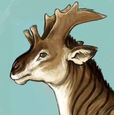 Dinopedia makes a Cenozoic Zoo game: Giraffids and relatives (2/2) (top ...