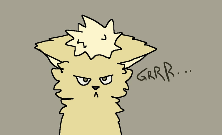 chibi cat Bakugou?! | Fandom