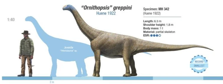 record smallest turiasaur | Fandom