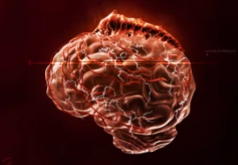 I think this is the 7th stage of Neurax Worm on PC…possibly. | Fandom