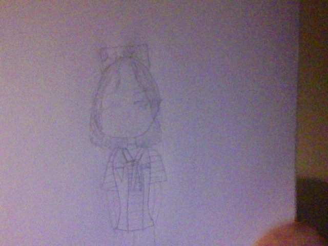 Drawing of robin! (BAD QUALITY..) | Fandom