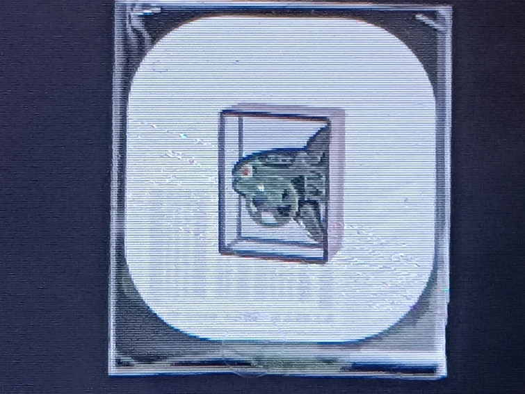 Discuss Everything About Meep Team Wiki | Fandom