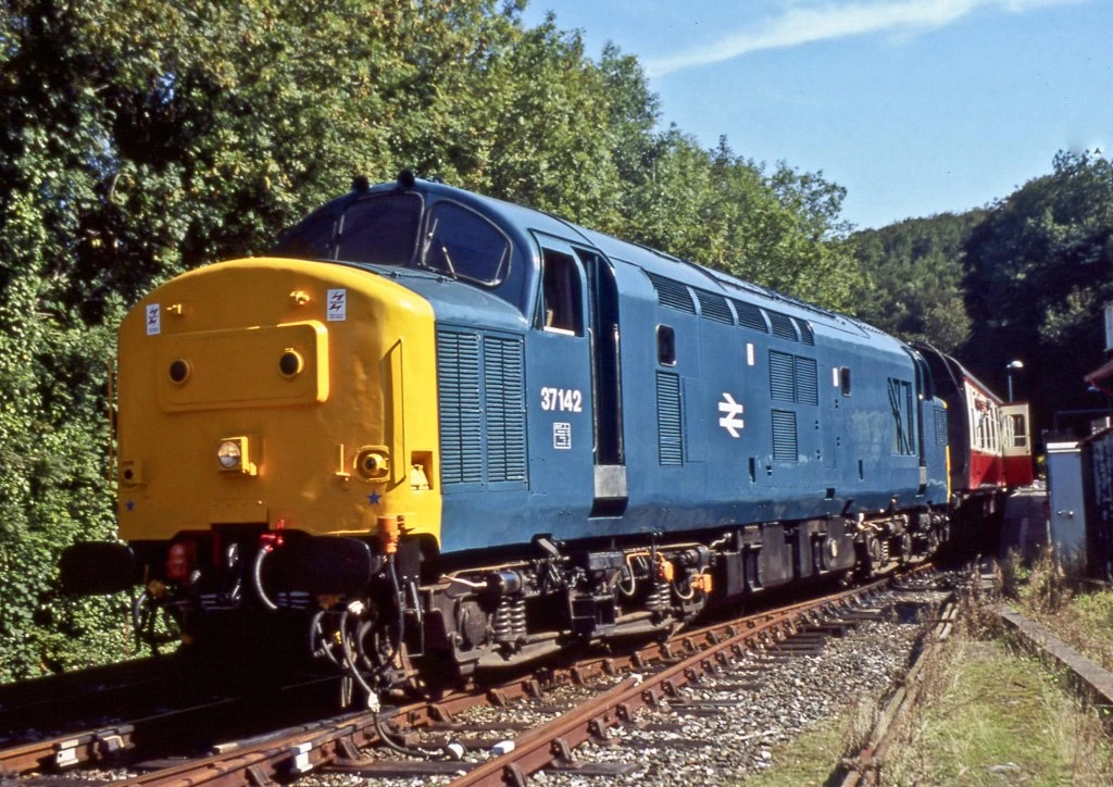 Super Rescue (Rewritten) | Fandom