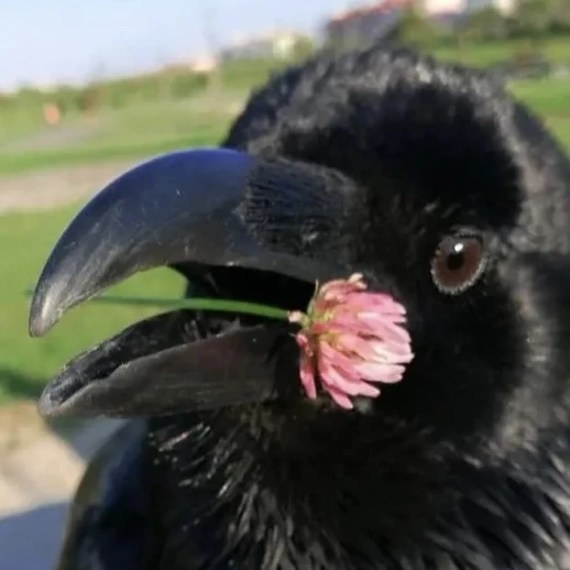 goodnight!!! | Fandom