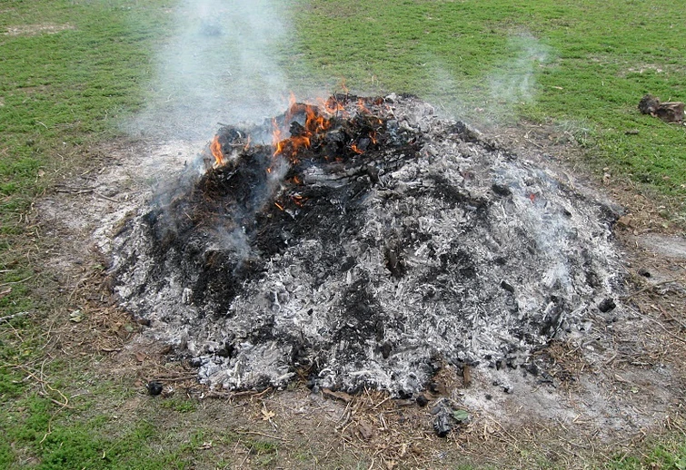 Burn the Val | Fandom