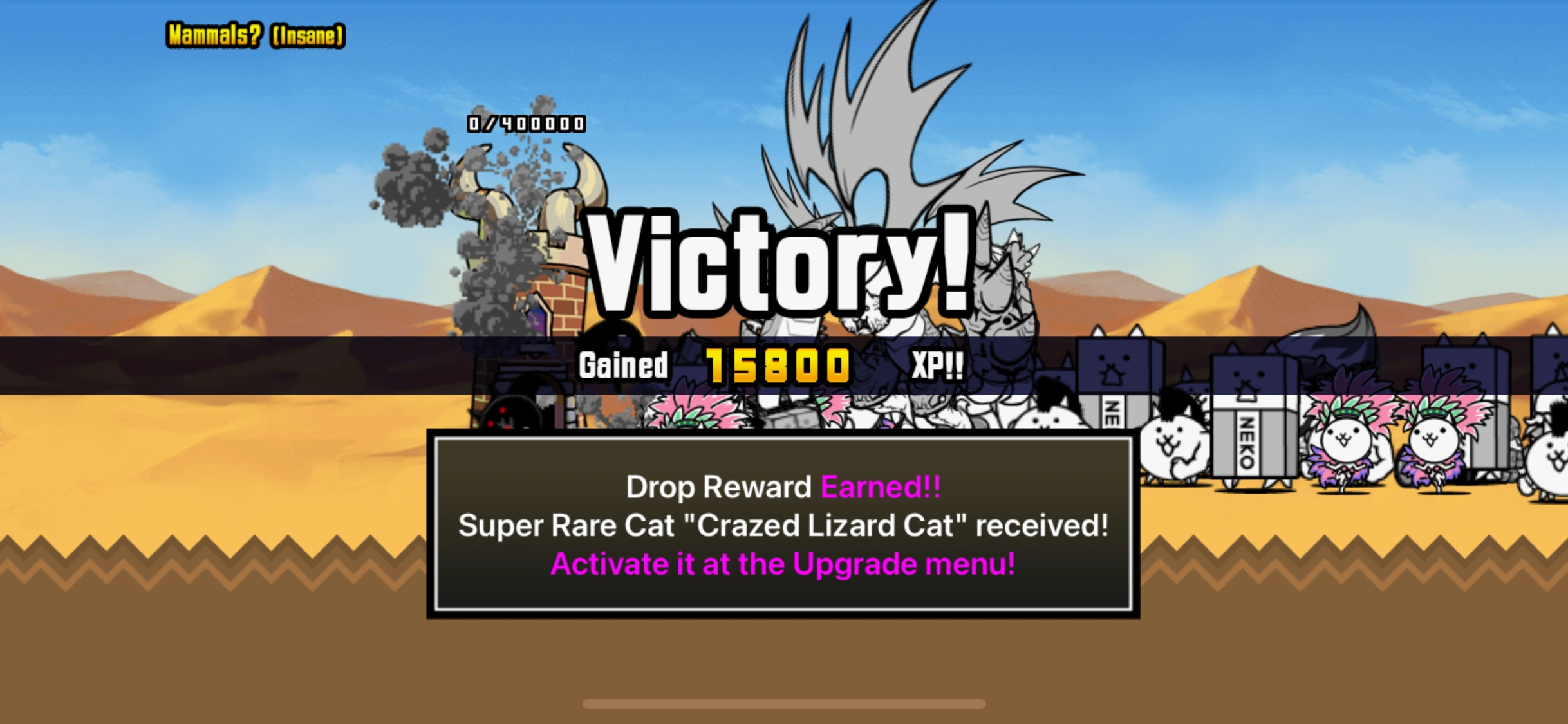 Finally! My first crazed cat 💀 | Fandom