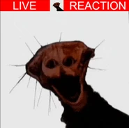 Final Question | Fandom