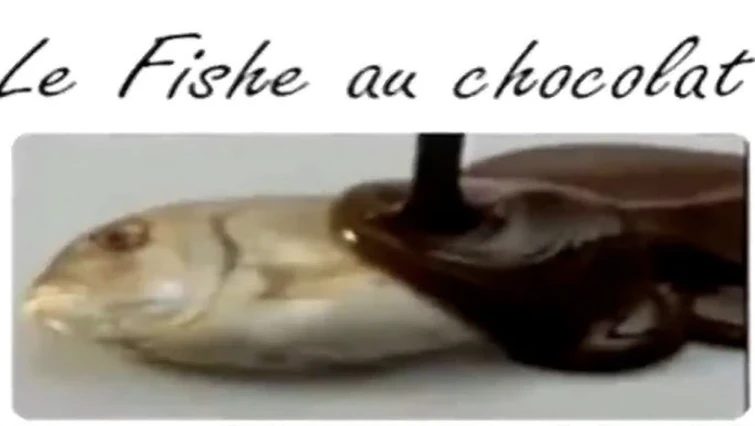 fish... | Fandom